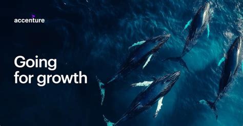 Frédéric Brunier On Linkedin Going For Growth Navigating The Great Value Migration In The Age