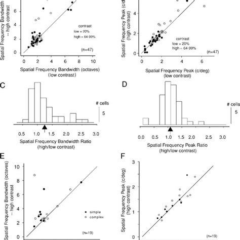 Spatial Frequency Bandwidth Ratio Highlow Contrast Distribution Download Scientific Diagram