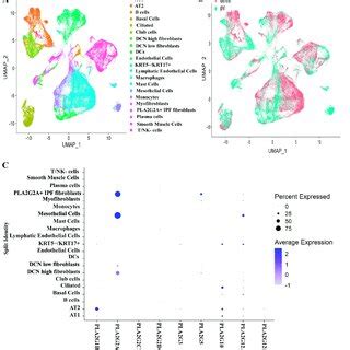 Analysis Of Single Cell RNA Seq Data Reveals The Expression Profile Of Download Scientific