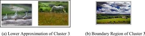 Members Of Cluster 3 A Lower Approximation Of Cluster 3 B Download Scientific Diagram