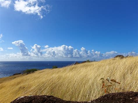 Laurent Kempé Build Ship And Run Aspnet Core On Microsoft Azure