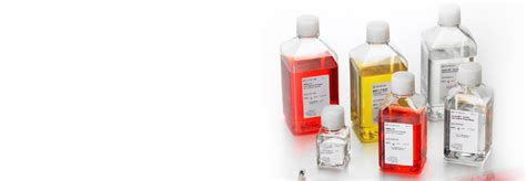 Cell Culture Solutions Creative Bioarray