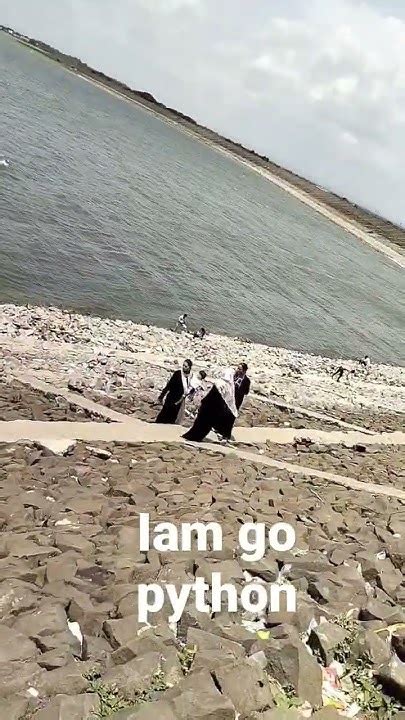 I Am Go To Python Ytshort Short Youtube