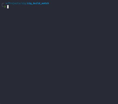 Initial Implementation Of `zig Build Watch` Just Landed In Master