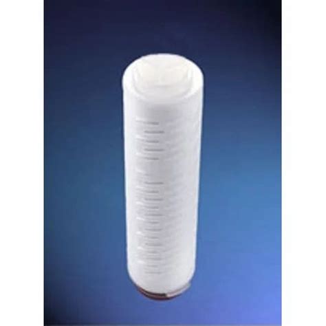 Endotoxin Filter Filter For Endotoxins Removal At ₹ 5000 Piece In Nagpur