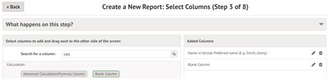 using advanced calculated formula fields in the custom report writer