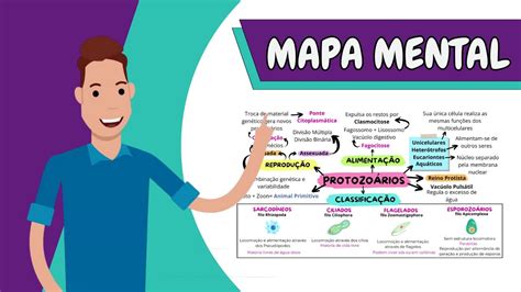 Mapa Mental ReproduÇÃo