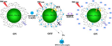 Schematic Illustration Of The Upconversion Fluorescence “on Off On