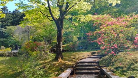 古峯園に行った おでかけポコそこ実際どうだったか体験口コミレポ