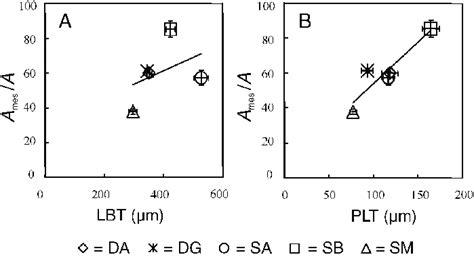 Relationship Between Mesophyll Cell Surface Area Per Unit Leaf Area A Download Scientific