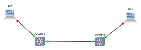 A Beginners Guide To OcNOS OSPF Routing Pine Networks