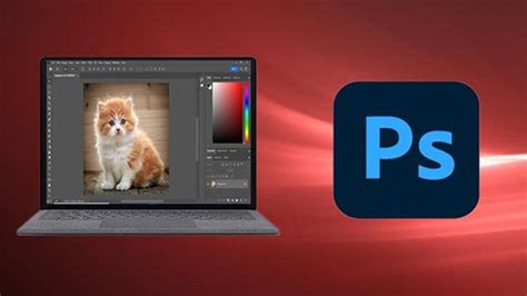 Curso De Adobe Photoshop Para Principiantes Educalix Blog