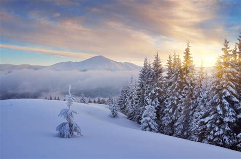 美丽的雪地森林图片 美丽的日出在山上的冬天素材 高清图片 摄影照片 寻图免费打包下载