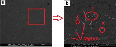 A And B Microstructure Of As Cast Alloy Without Sn A Sem Image