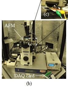 Mechanical Characterization Of Benign And Cancerous Breast Tissue Using MEMS Sensor