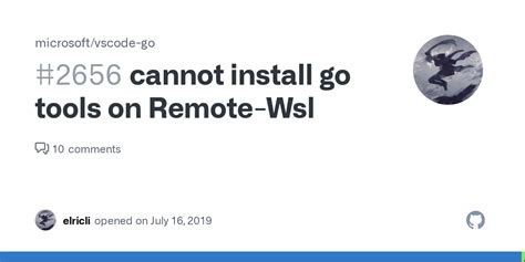 Cannot Install Go Tools On Remote Wsl · Issue 2656 · Microsoftvscode