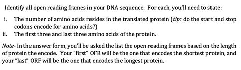 Solved Identify All Open Reading Frames In Your DNA Chegg Com