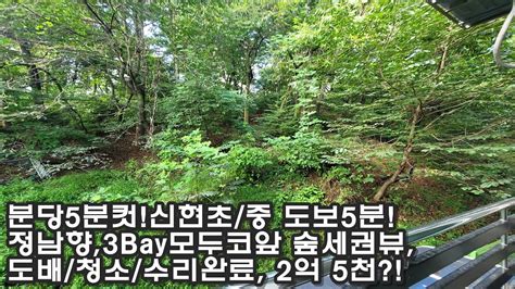 초등학교중학교 도보 7분분당 태재고개 2억대 완벽 All수리된 빌라매매 분당 진입 5분컷 정남향에 창밖 코앞 숲세권에선 피톤치드가 Youtube