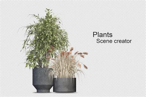 Premium Psd Wide Variety Of Trees And Shrubs Rendering