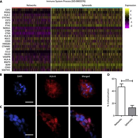 Phenotypically Supervised Single Cell Sequencing Parses Within Cell