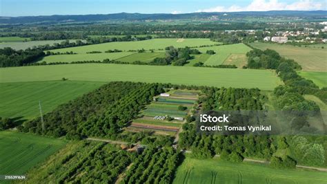 바이오 농부 드론 공중 들 농업 야채 농업 농장 정원 농원 과일 나무 사과 과수원 비디오 총 잎 곱슬 곱슬 곱슬 한 양배추 케일 식물 본질적인 농원 수확 야채 온실 0명에