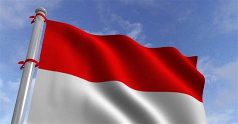 폴란드 Pgz 방산업체 회장 한국 Kf 21 사업 참여하면 영광” 포텐 터짐 최신순 에펨코리아