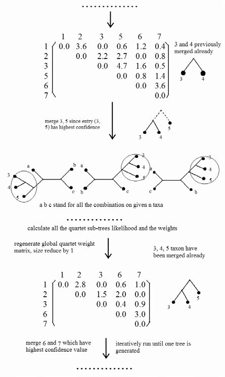 The Algorithm Iterative Step Procedure Illustration Download
