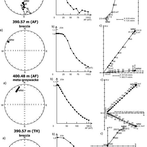 Examples Of Alternating Field And Thermal Demagnetization Behavior Of