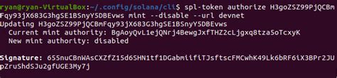 introduction to solana and the spl token command line accessdenied