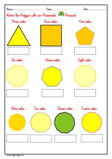 Identify And Name Polygons