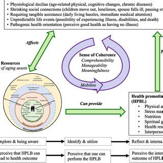 Conceptual Framework Of SHAPE Intervention Download Scientific Diagram