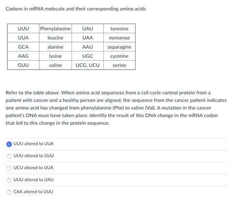 Solved Codons In Mrna Molecule And Their Corresponding Amino