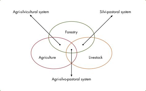 Classification Of Agroforestry Systems Based On Composition Download Scientific Diagram