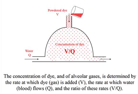 VQ Mismatch Shunt Versus Dead Space Nurse Your Own Way
