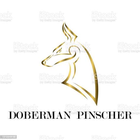도베르만 핀셔 개 머리의 골드 라인 예술 기호 마스코트 아이콘 아바타 문신 티셔츠 디자인 로고 또는 원하는 디자인에 적합합니다 경비견에 대한 스톡 벡터 아트 및 기타 이미지