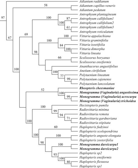 Maximum Likelihood Tree Topology −ln L −2718516 Based On Plastid