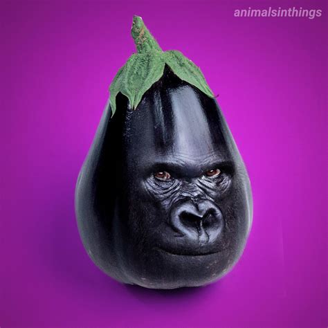 I Photoshopped A Gorilla Into An Eggplant For Your Viewing Pleasure