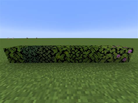 Minecraft Leaf Block Texture Minecraft Leaf Block Texture