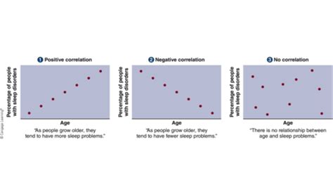 Theoretical Perspectives Flashcards Quizlet