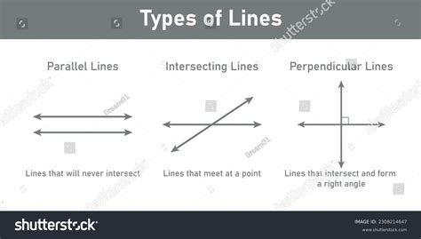 Types Lines Geometry Parallel Intersecting Perpendicular Stock Vector Royalty Free 2308214647
