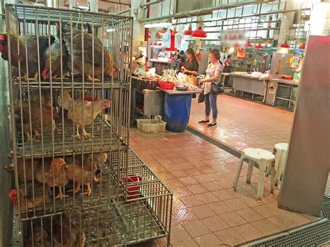 全球首宗h7n4！ 江蘇女確診感染新型禽流感 澳門力報官網