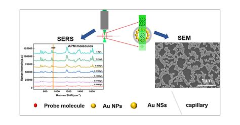 Highly Sensitive Sers Detection Of Food Additives Using Gold Nanospheres On Capillary Substrates