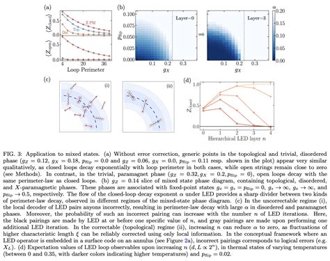 Enhancing Detection Of Topological Order By Local Error Correction · Issue 3581 · Github