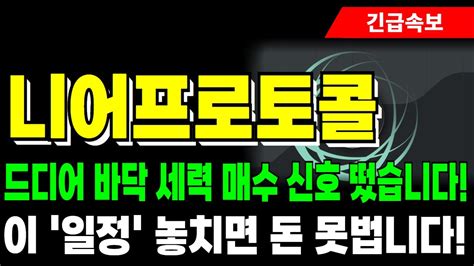 니어프로토콜 코인 전망 드디어 바닥 세력 매수 신호 떴습니다 이 일정 놓치면 돈 못법니다 Youtube