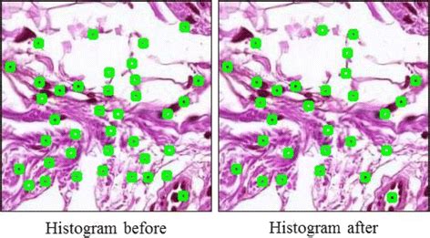 Experimental Results Before And After Applying Histogram Scheme Download Scientific Diagram