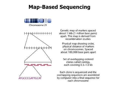 Genomics And Bioinformatics