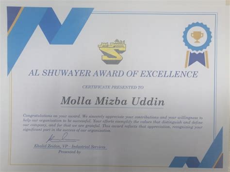 Mizba Uddin On Linkedin Award Of Excellence From Vp 13 Comments