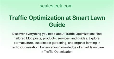 Level Up Your Traffic Optimization Scale Sleek