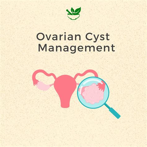 Ovarian Cyst Types Causes Symptoms Ayurvedic Treatment
