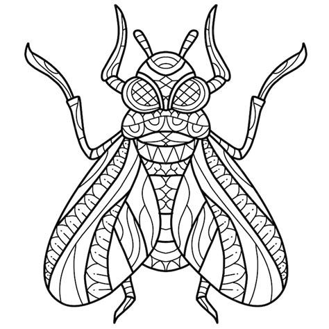 귀여운 파리 색칠하기 책 Zentangle 손으로 그린에 고립 된 흰색 배경 프리미엄 벡터
